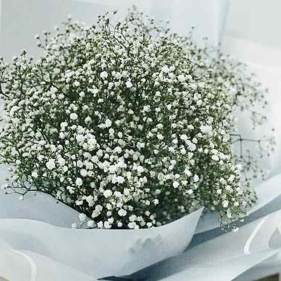 Zinnirah - EasyEDA open source hardware lab