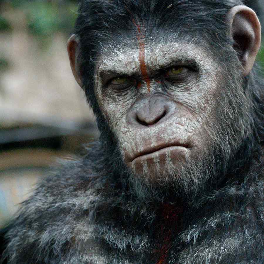 Jedez - EasyEDA open source hardware lab