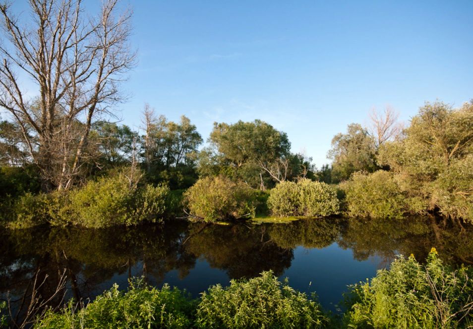 Ping-Pong - EasyEDA open source hardware lab